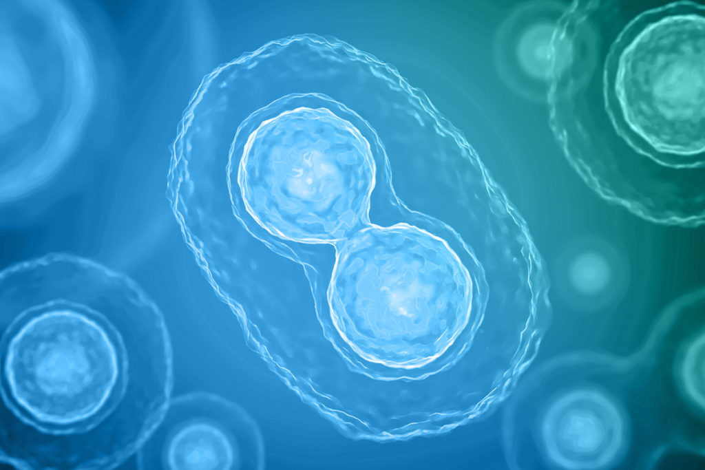 AAGP® and Cell Doubling Time | Cell Protective Properties | ProtoKinetix